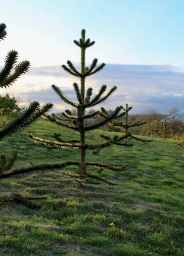 The National Botanic Garden of Wales through the seasons | Visit Wales