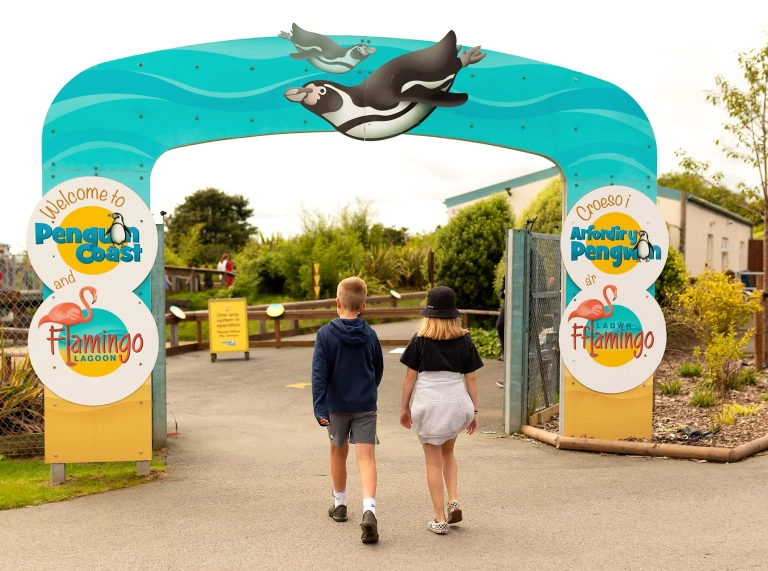 A trip to Folly Farm | Wildlife parks and zoos | Visit Wales