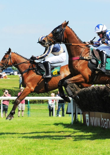 Horse racing in Wales | Visit Wales