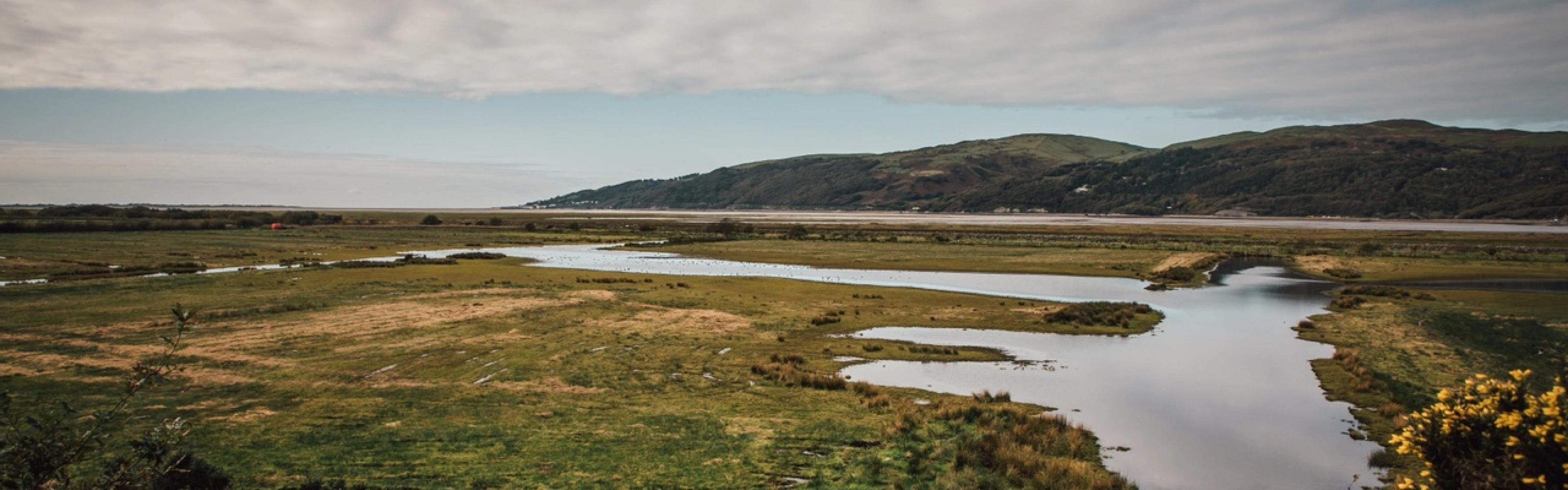 Discover the wildlife of the UNESCO Dyfi Biosphere | Visit Wales