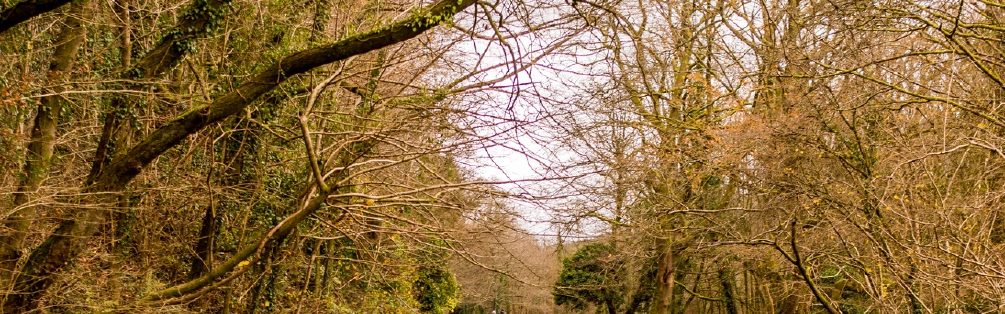 Walks in Neath and Port Talbot | VisitWales