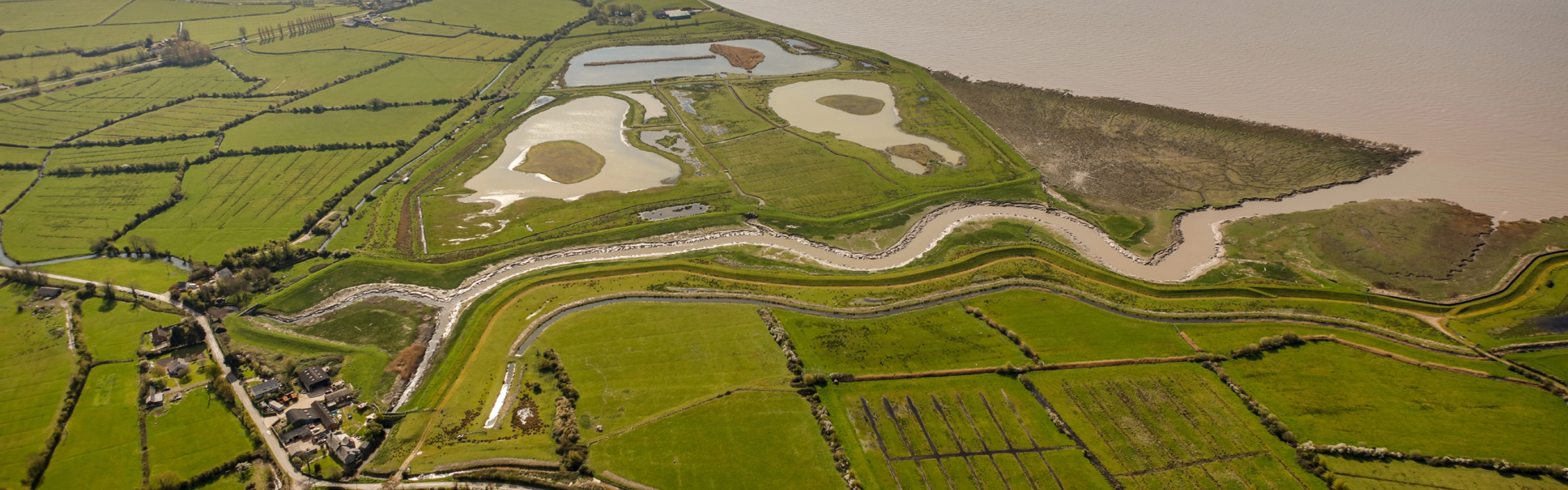 Discover the history and wildlife of the Gwent Levels | Visit Wales