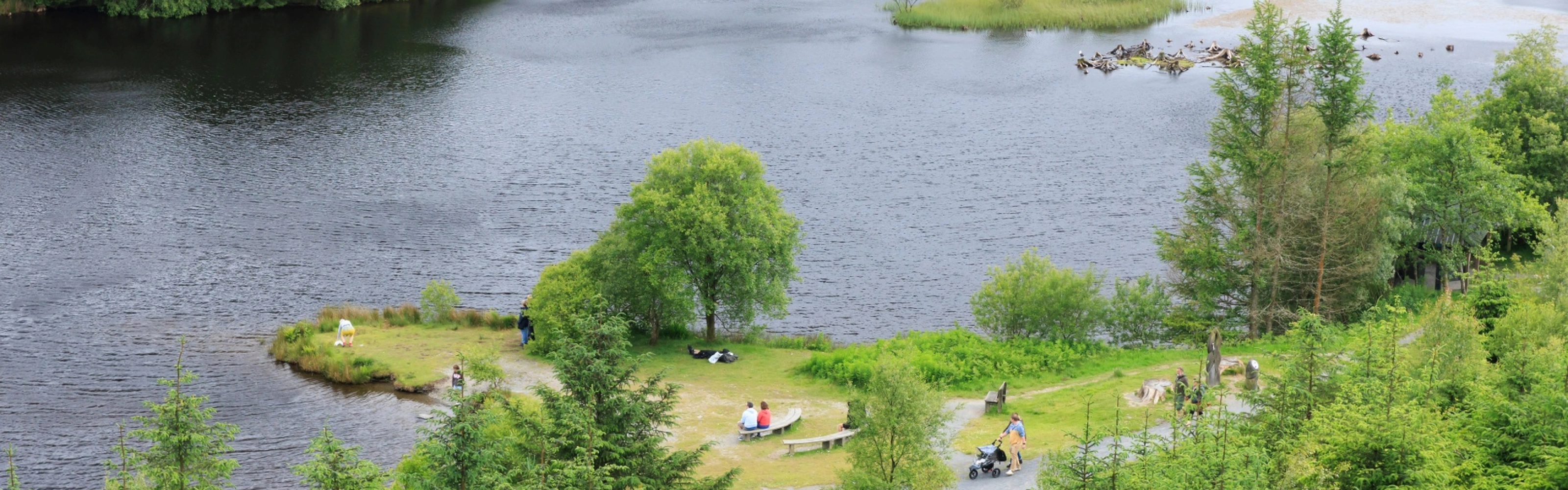 Nature and wildlife attractions in Mid Wales | Visit Wales