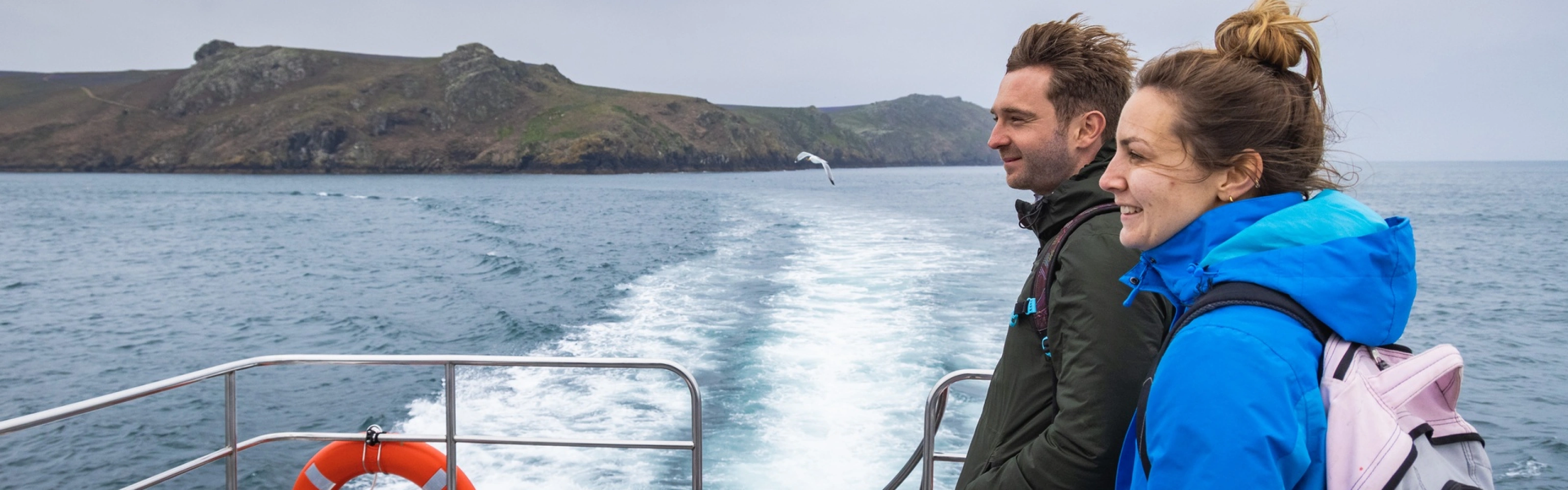 Experience Skomer Island's natural treasures | Visit Wales