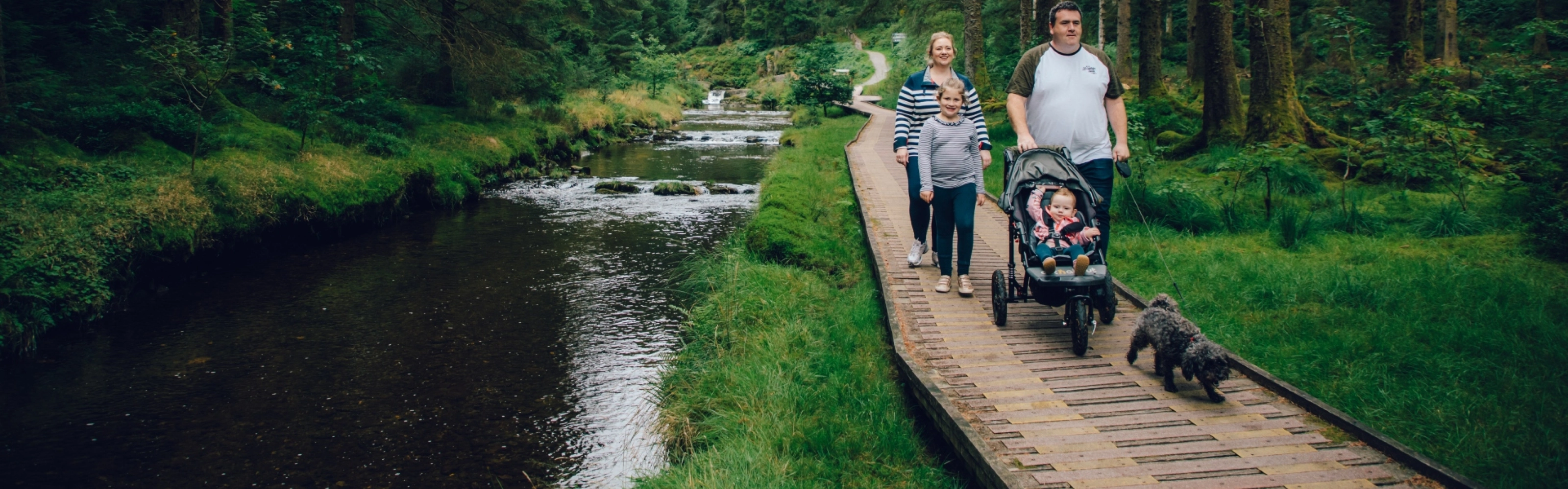 Discover Hafren Forest | Visit Wales