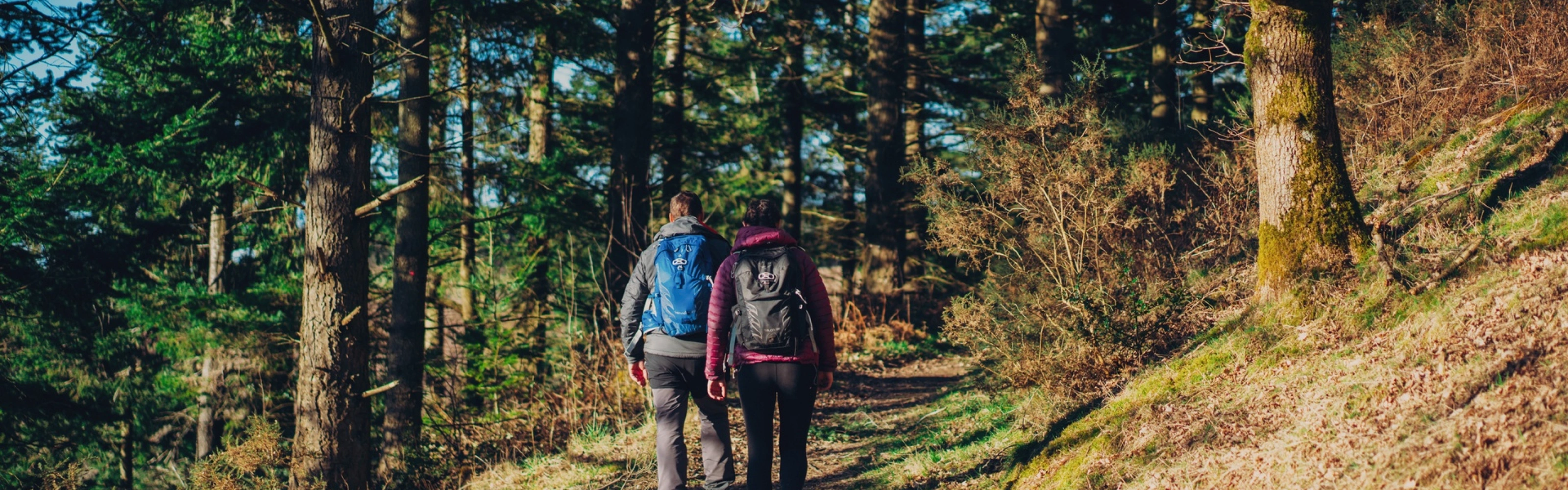 Ramblers Cymru: Wales' top autumnal walks | Visit Wales