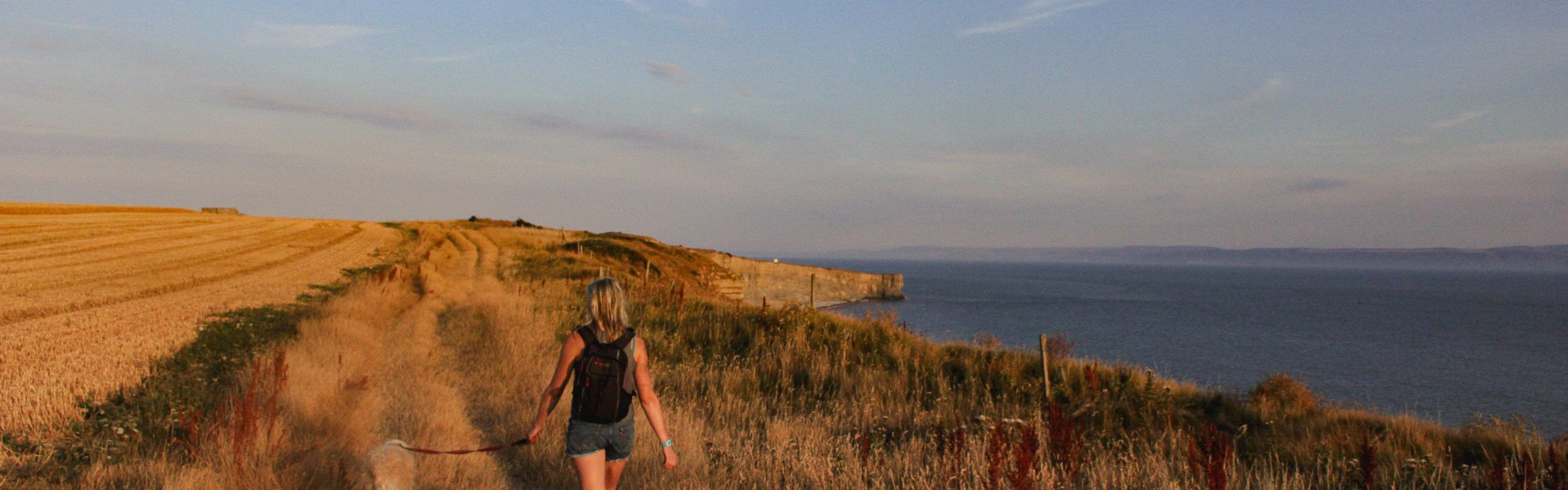 Wild dipping walking trails in Wales | Visit Wales