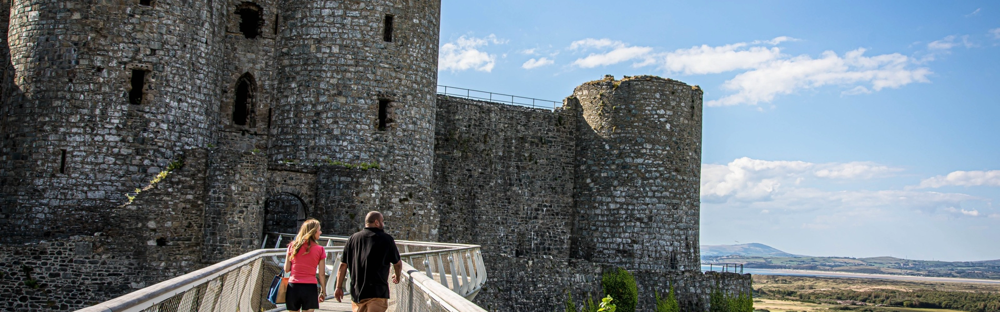 common welsh features