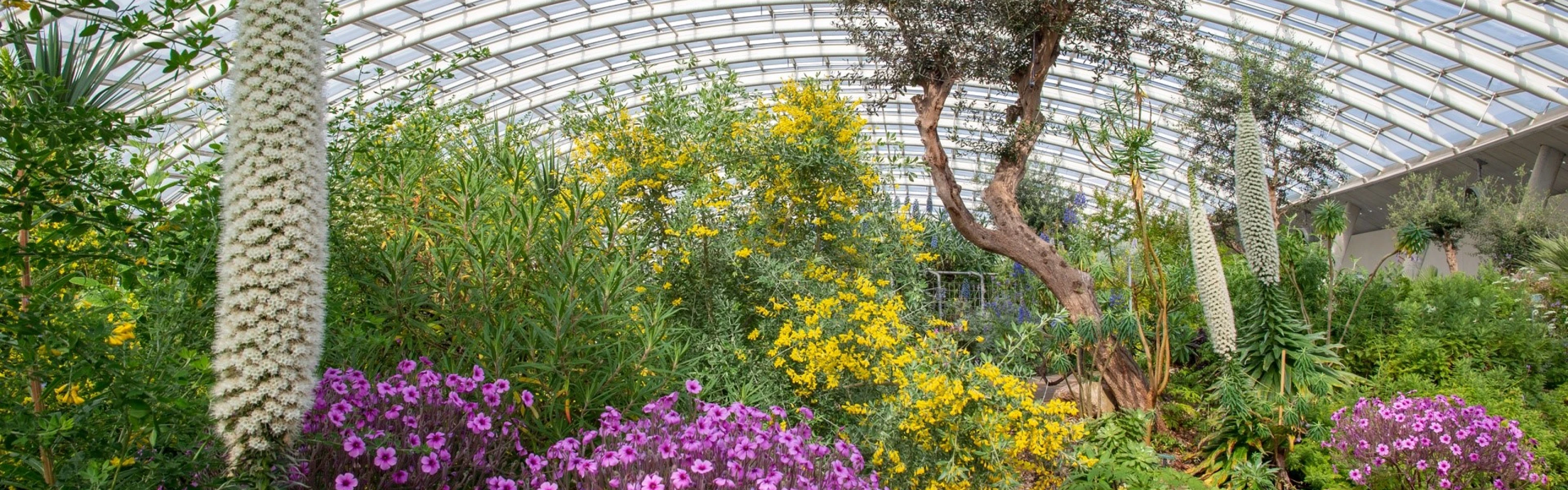 10 great gardens around Wales | Visit Wales