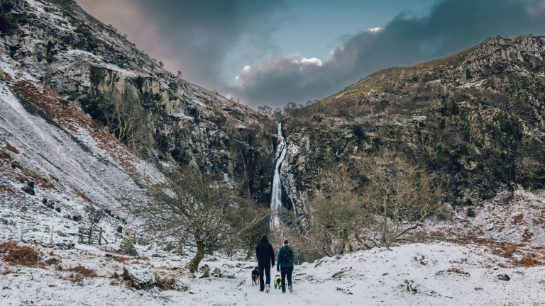 Wildlife and fauna in Wales | Visit Wales